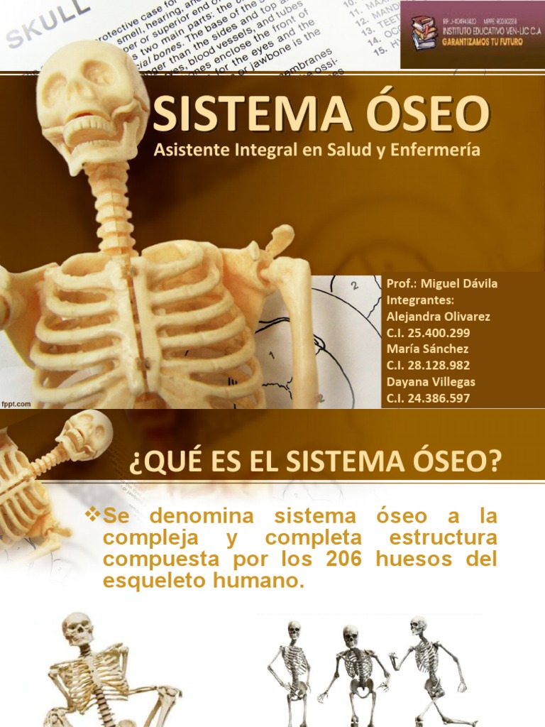 Guía del Sistema Óseo para Enfermería | PDF | Salud y bienestar ...