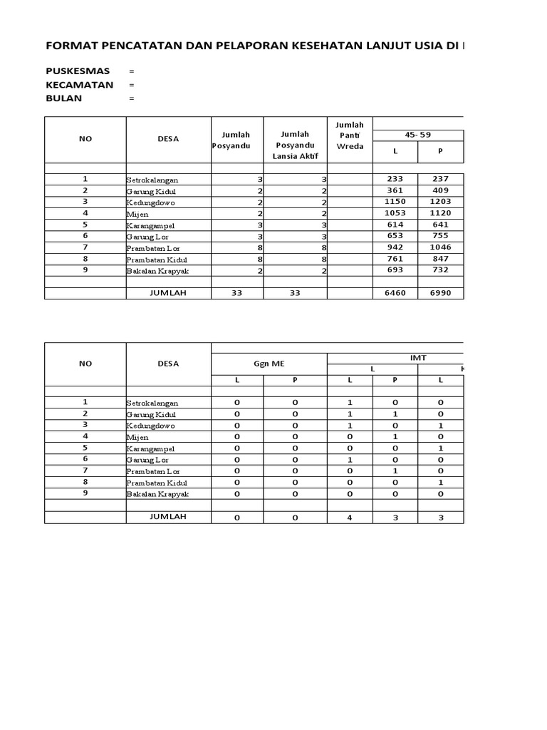 Format Laporan Lansia New | PDF