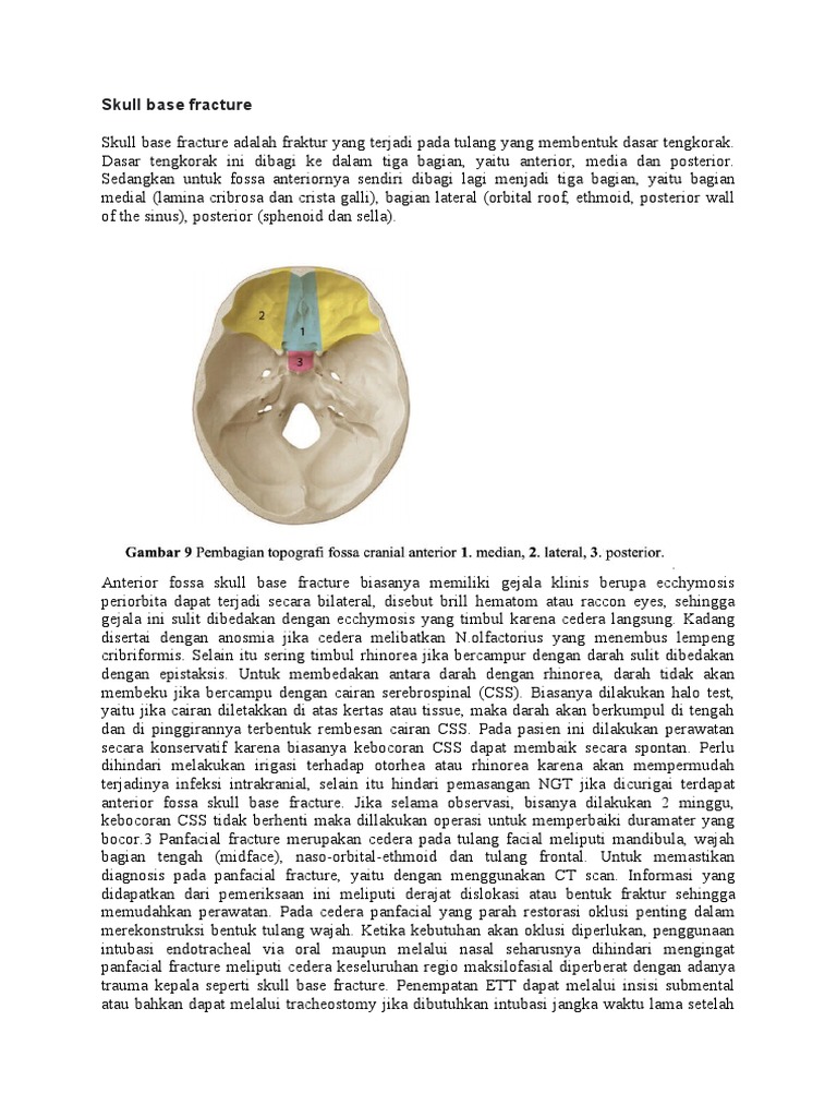 Skull Base Fracture Overview | PDF | Science & Mathematics