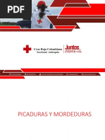 Escala de Flebitis | PDF