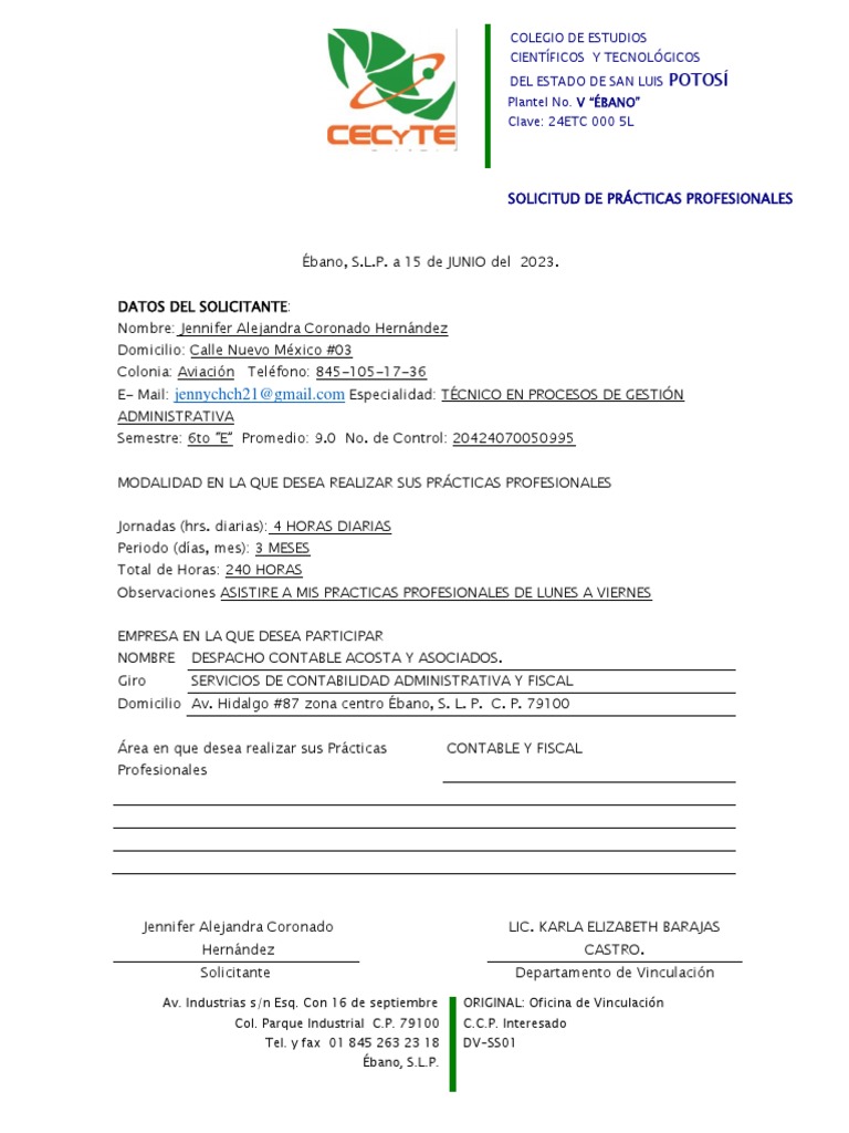 Formatos de Practicas Profesionales | PDF