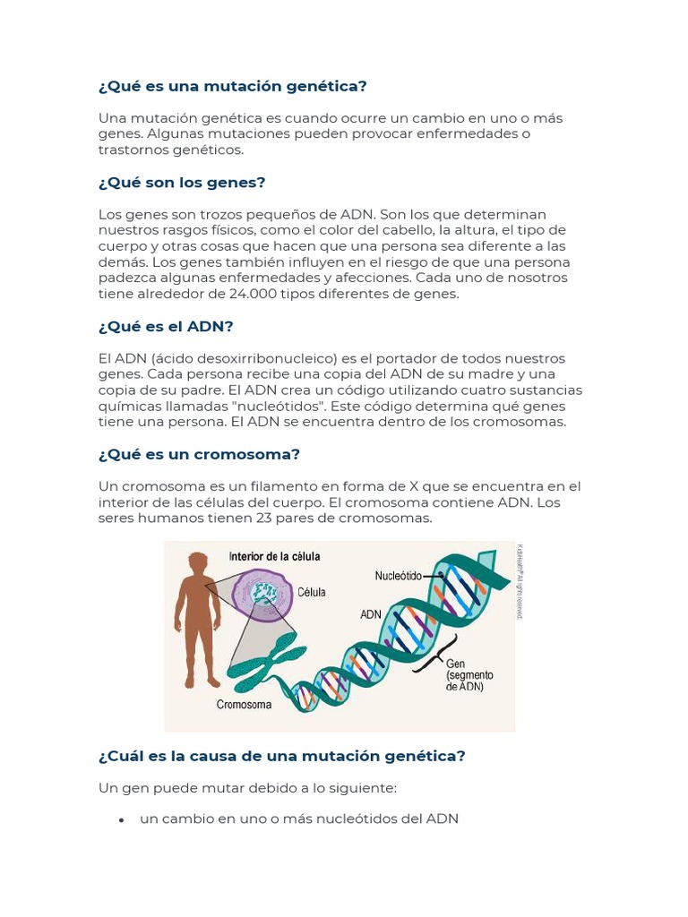 Mutaciones Genéticas: Causas y Efectos | PDF | Mutación | Gene
