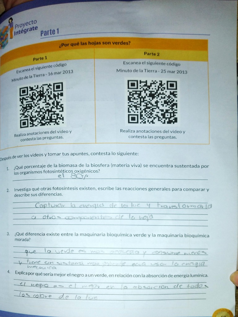 Cas - Via L03 4.AM - SMEC | PDF