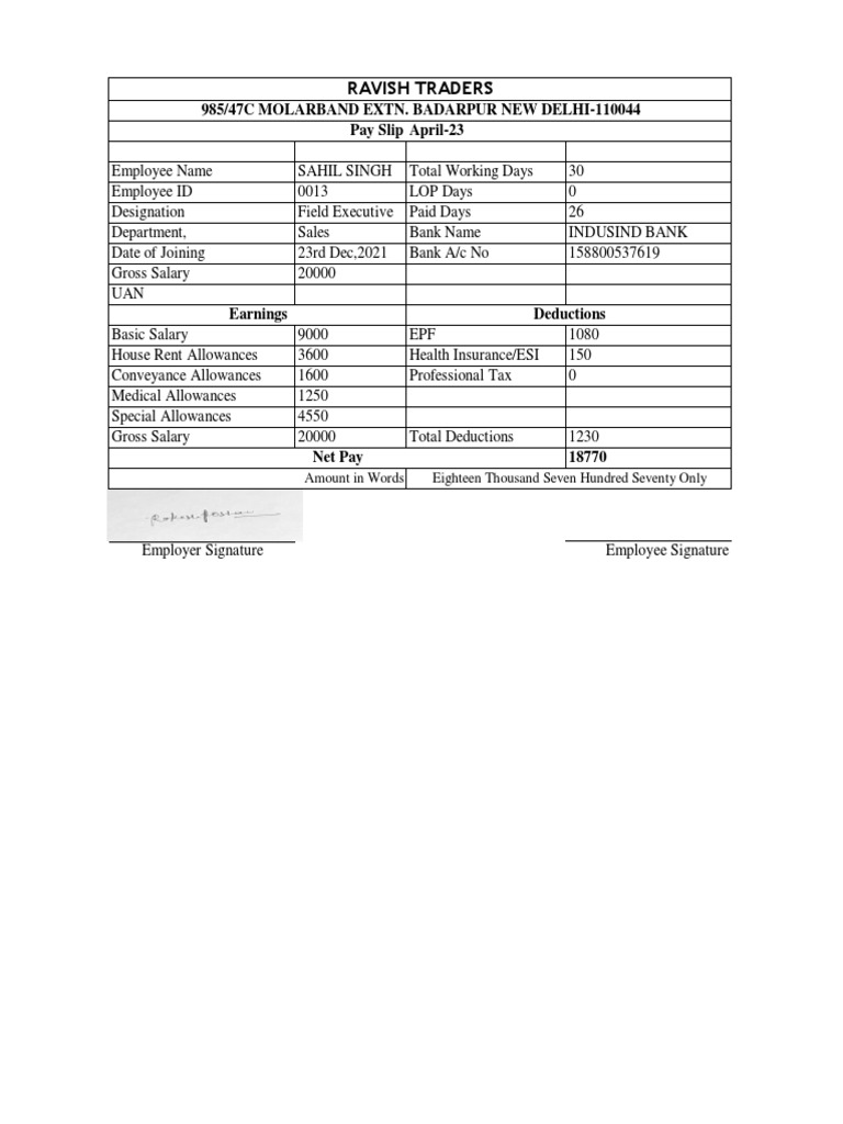 Sahil Salary Slip | PDF
