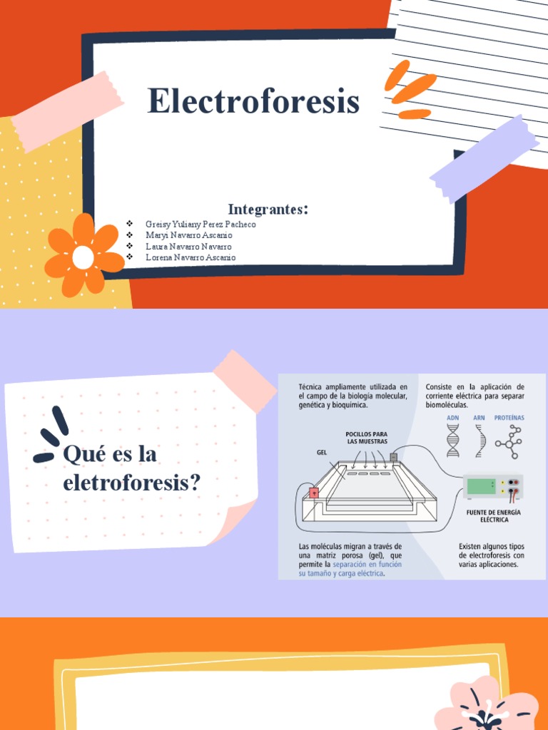 Diapositivas Electroforesis | PDF | Electroforesis | Bioquímica
