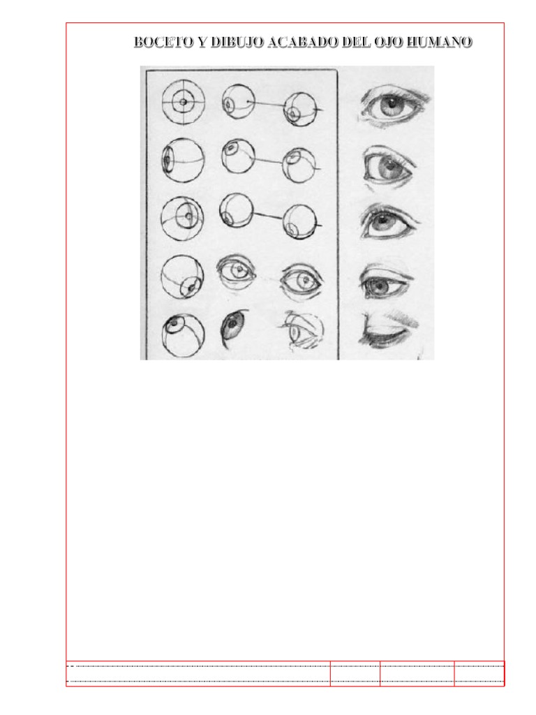 PDF MD PARTES DEL ROSTRO | PDF