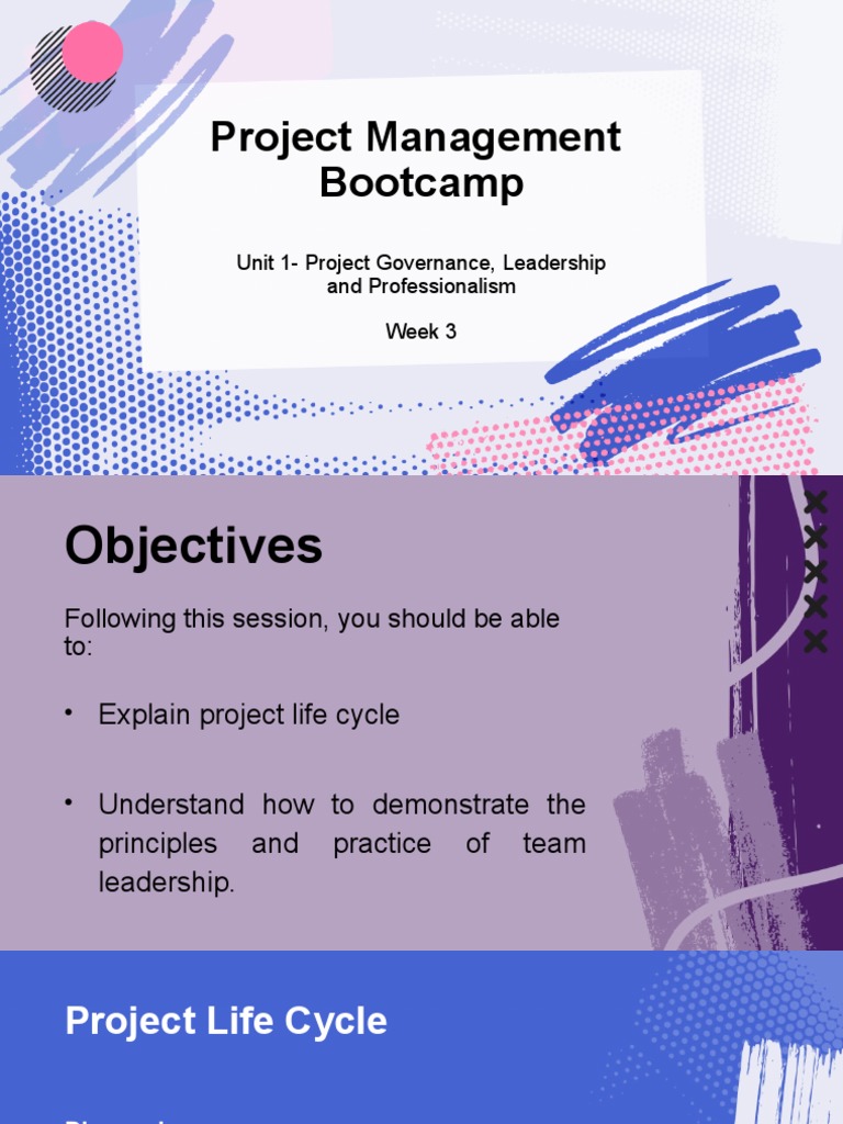 Project Life Cycle & Governance Guide | PDF | Project Management | Life ...