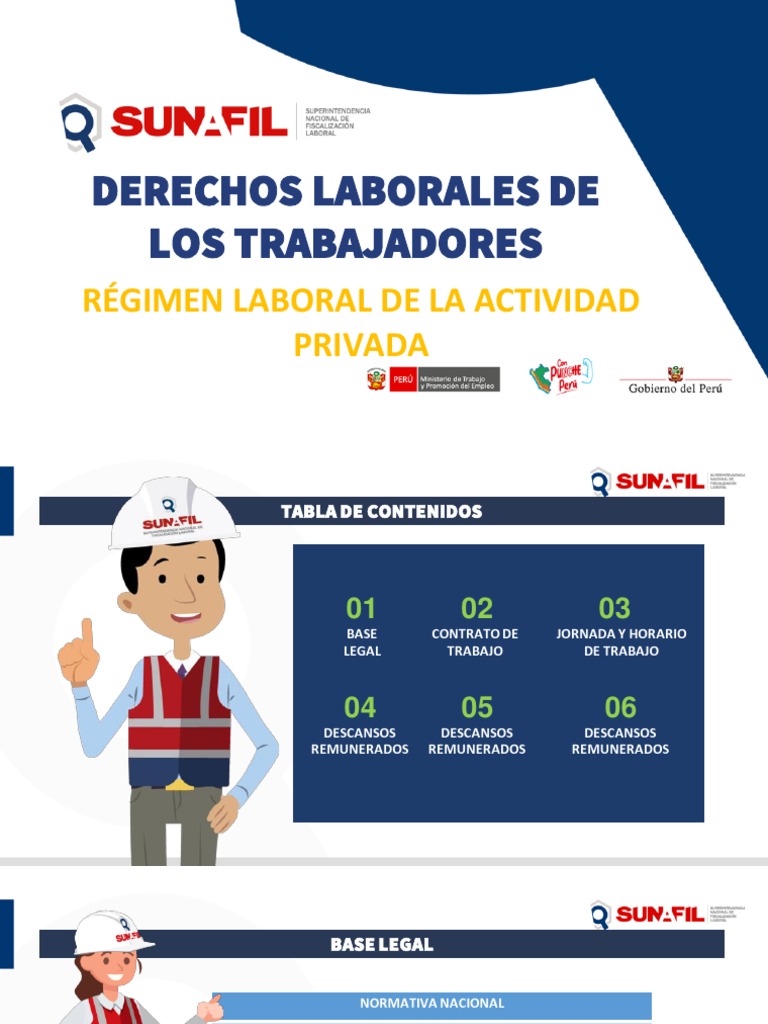 Derechos Laborales en Régimen Privado | Descargar gratis PDF | Derecho laboral | Salario