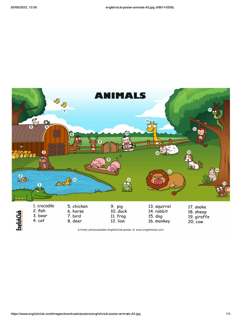 Illustrated Animals Vocabulary | PDF