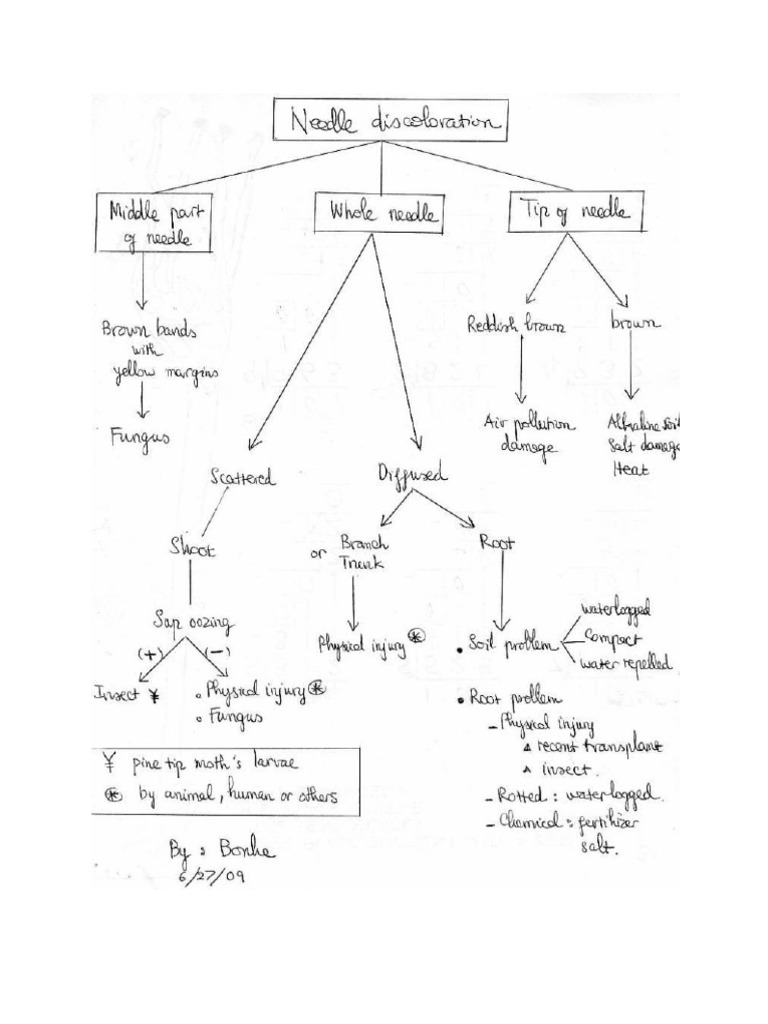 Flow Chart For Diagnosis Pine Problems | PDF
