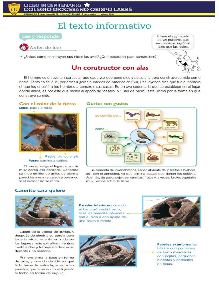 Texto Informativo 4to | PDF