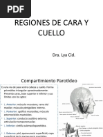 Arco de Riolano | PDF | Tinción | Anatomía