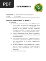 IDLPol - Directiva Investigación Criminal PNP | PDF | Tecnología