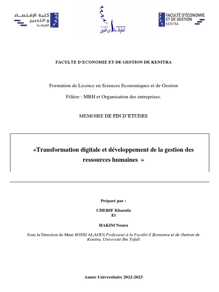 Plan Pfe | PDF | Ordinateurs