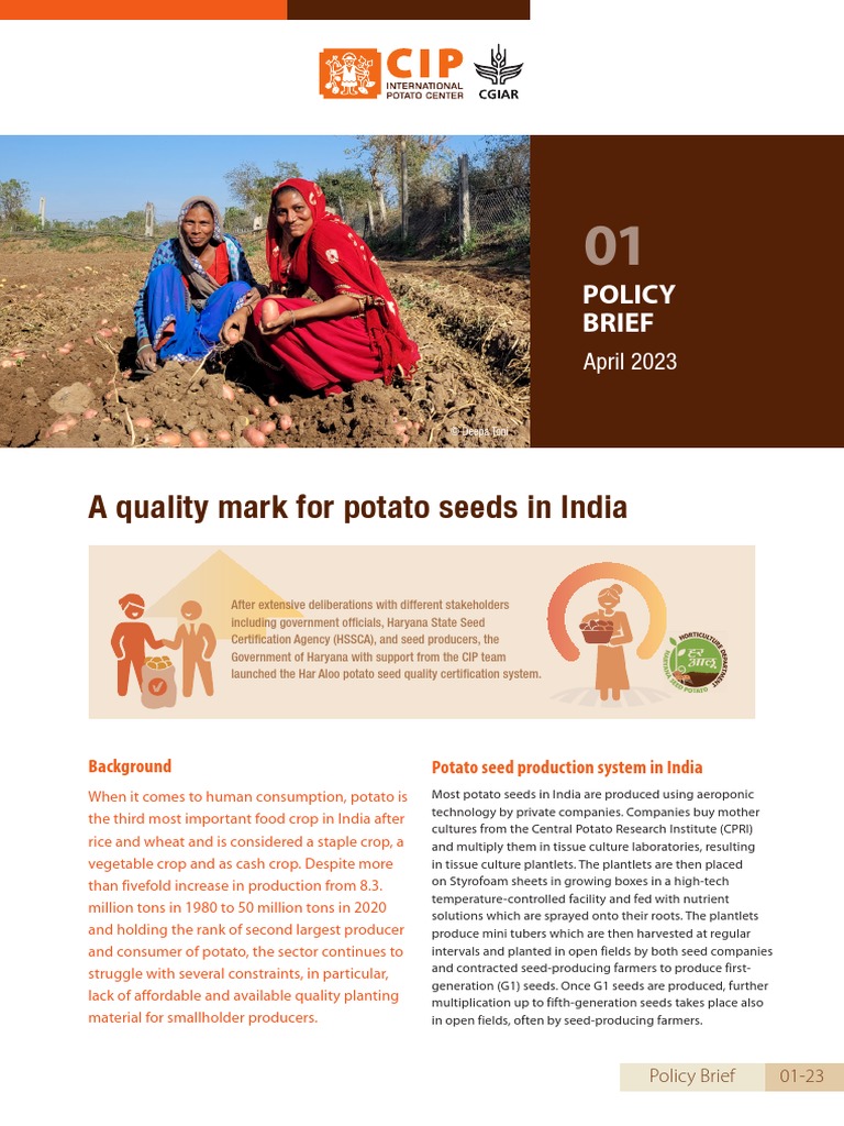 Potato Seed Quality Mark | PDF | Potato | Rice