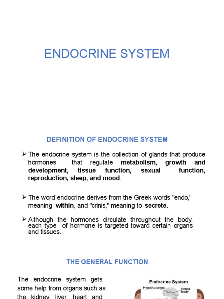 Endocrine System | PDF | Adrenal Gland | Hormone