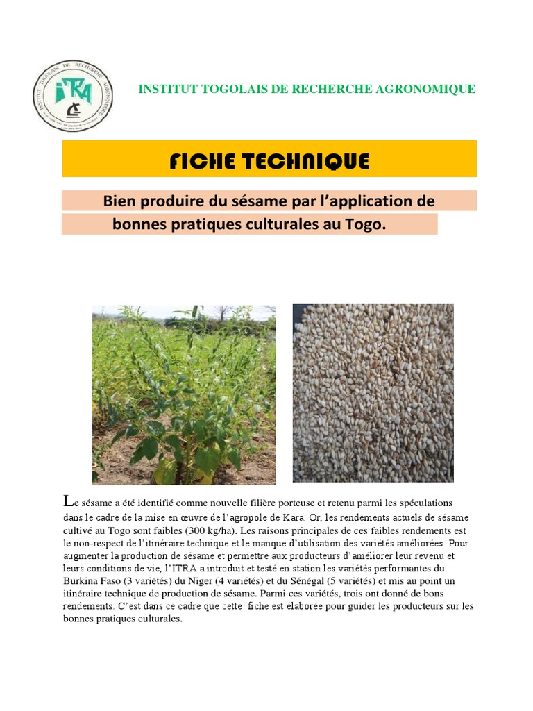 FT Sesame | PDF | Semis | Sésame