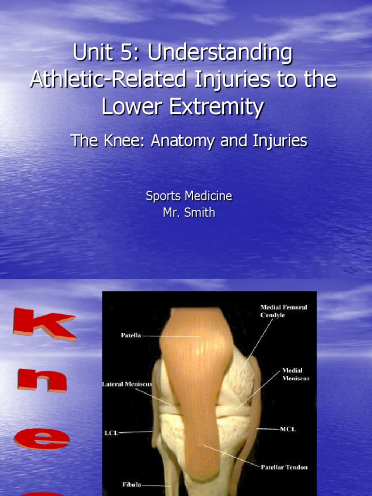 Knee Anatomy and Injuries | PDF | Knee | Human Leg