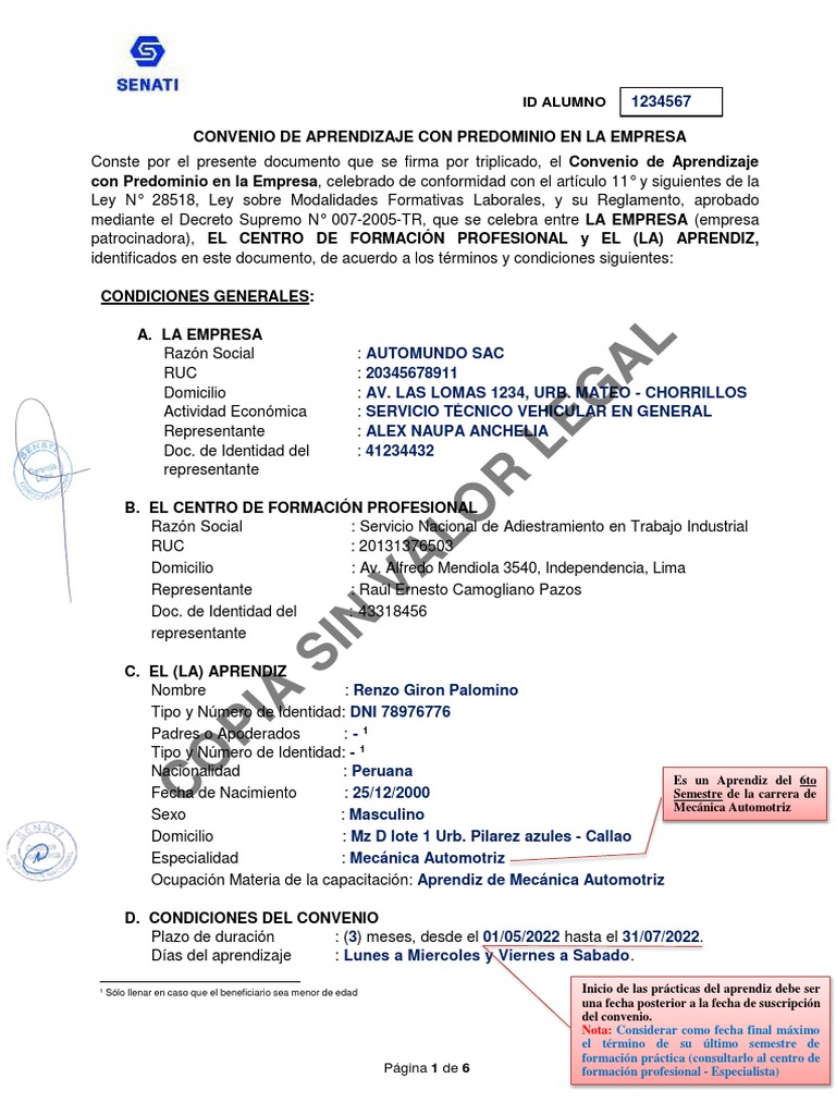 Modelo llenado CAPE+PLAN CAPE+PEA 2022 Copia sin valor legal | PDF ...