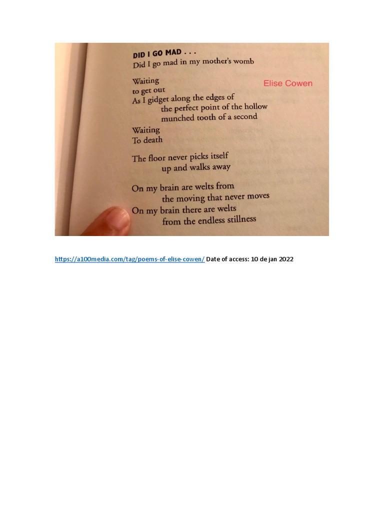 Did I Go Mad. Elise Cowen | PDF