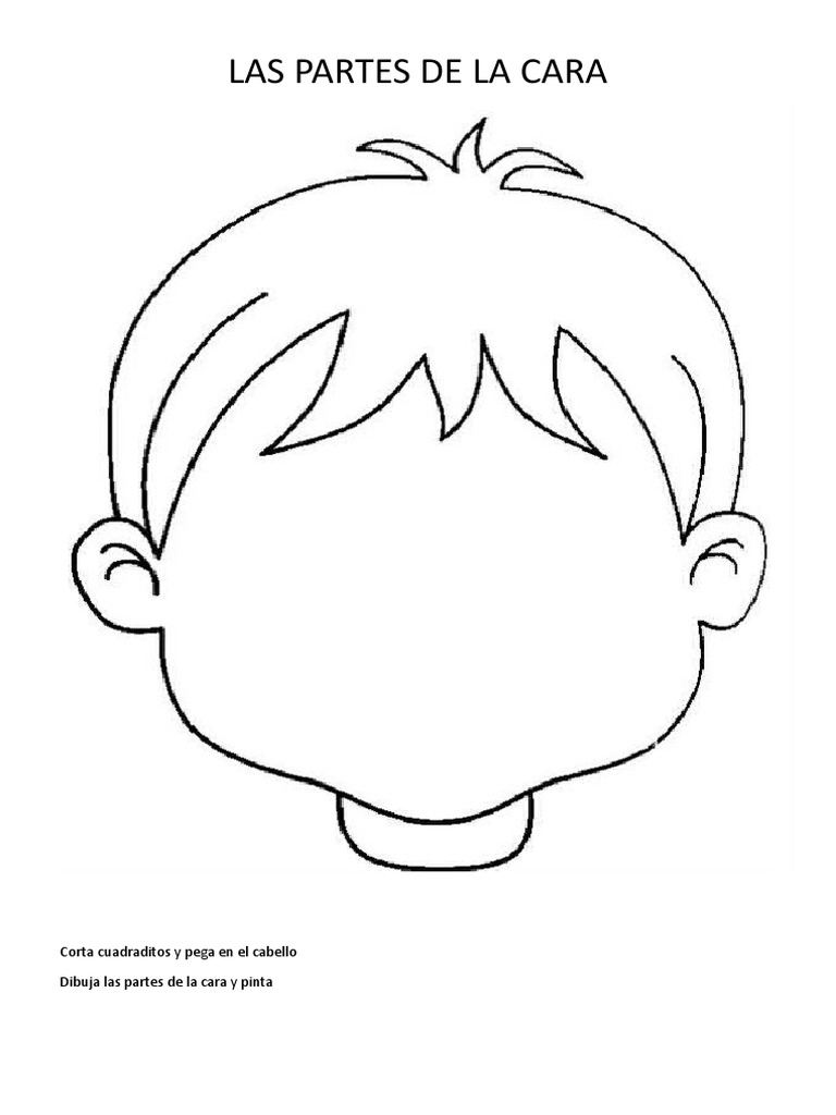 Las Partes de La Cara | PDF