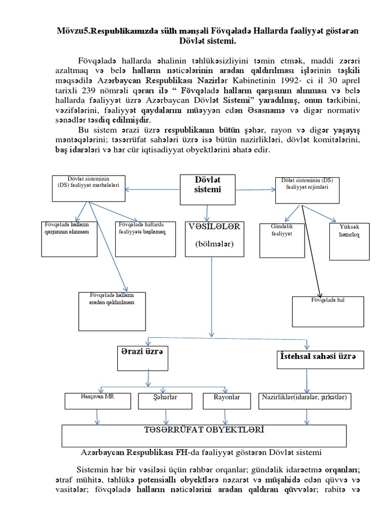 DM Vzu-5-FH-da-D Vl T-sisteminin-rolu-V -V Zif l Ri | PDF