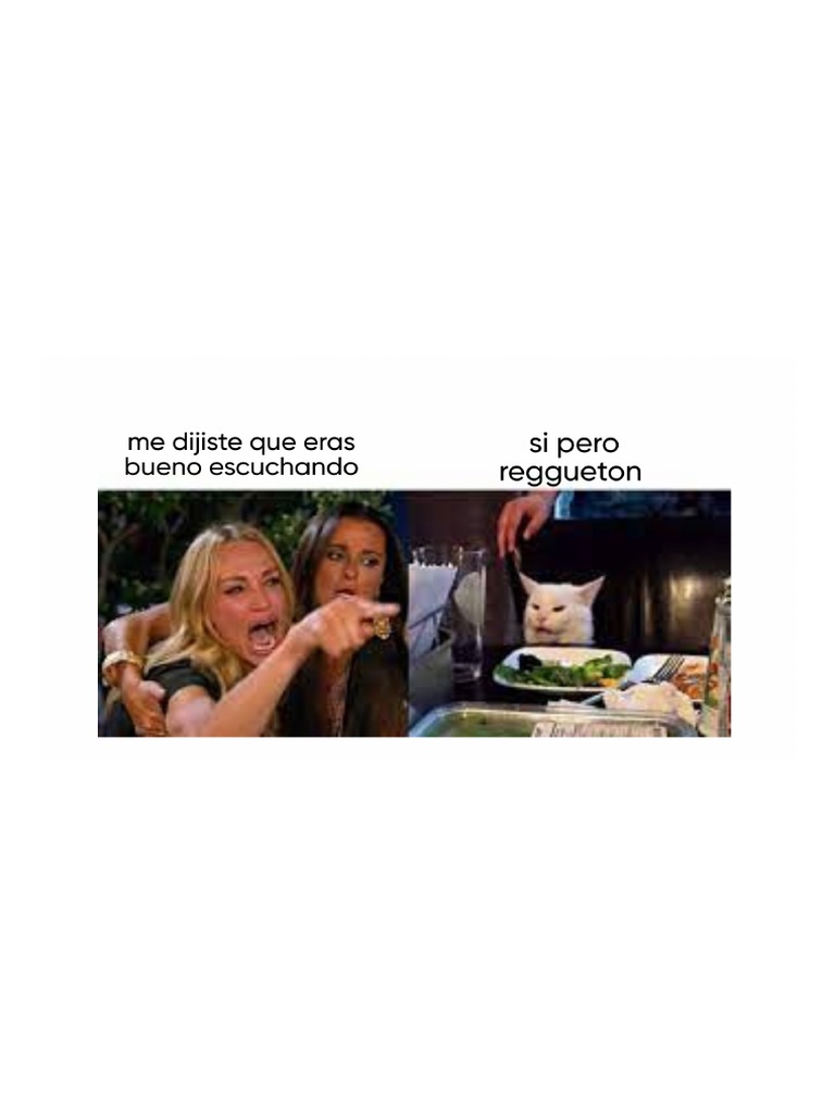 Meme Gato | PDF