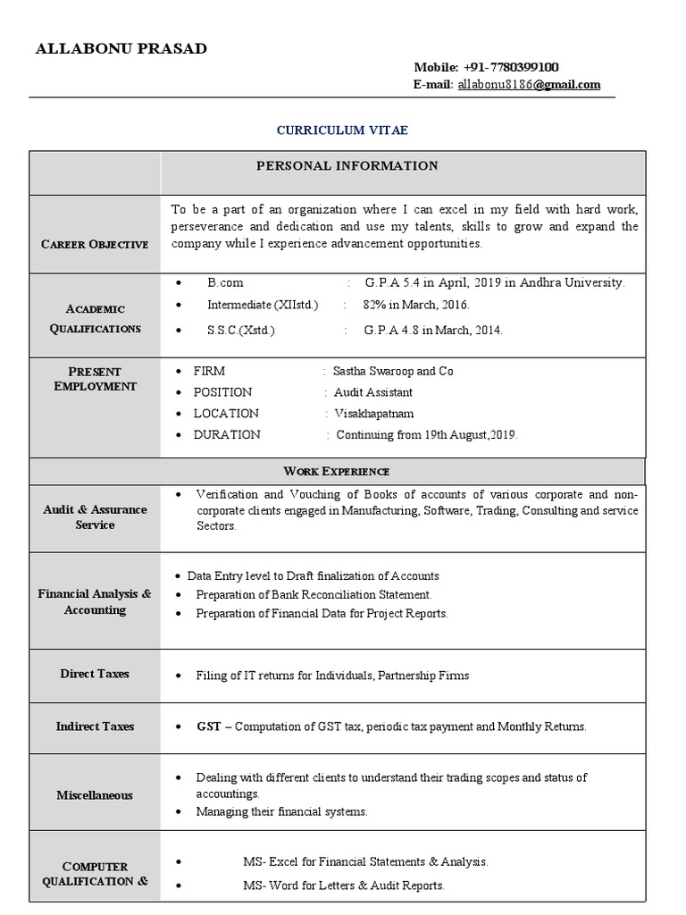 Prasad CV | PDF | Accounting | Audit