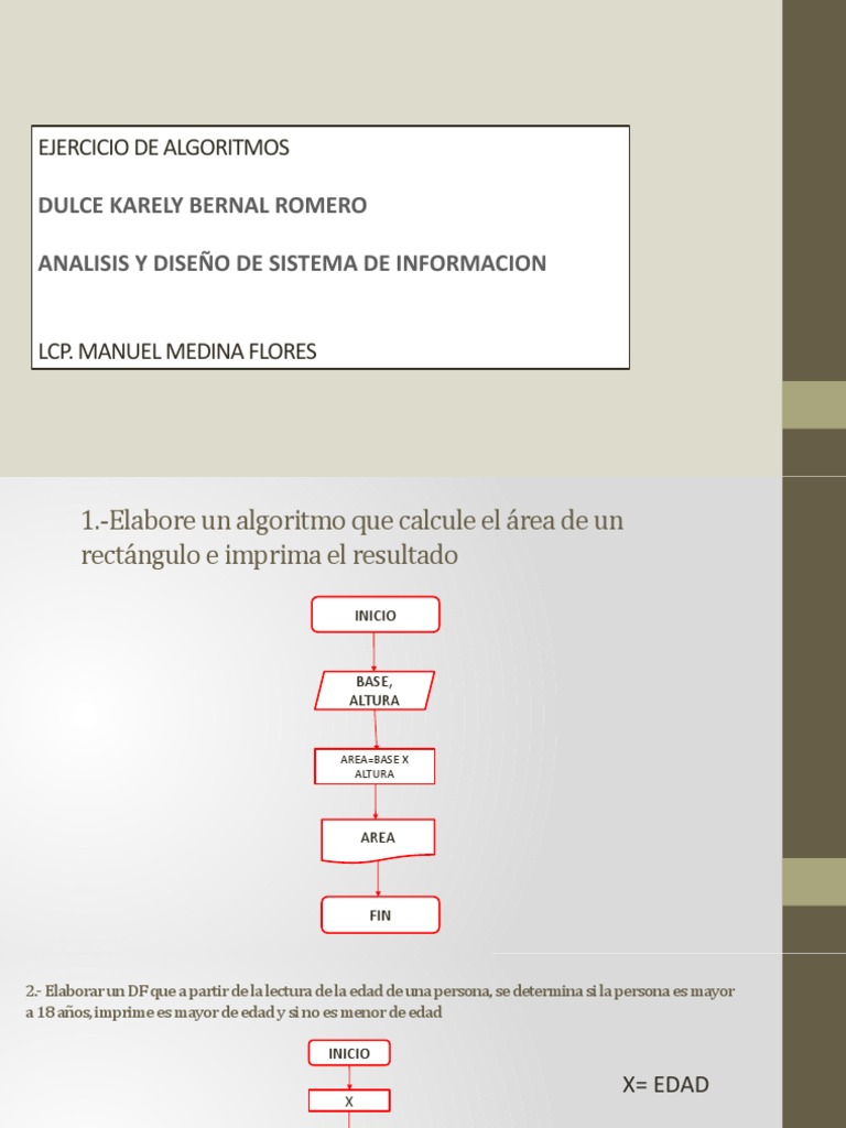 Ejercicio de Algoritmos 1 | PDF