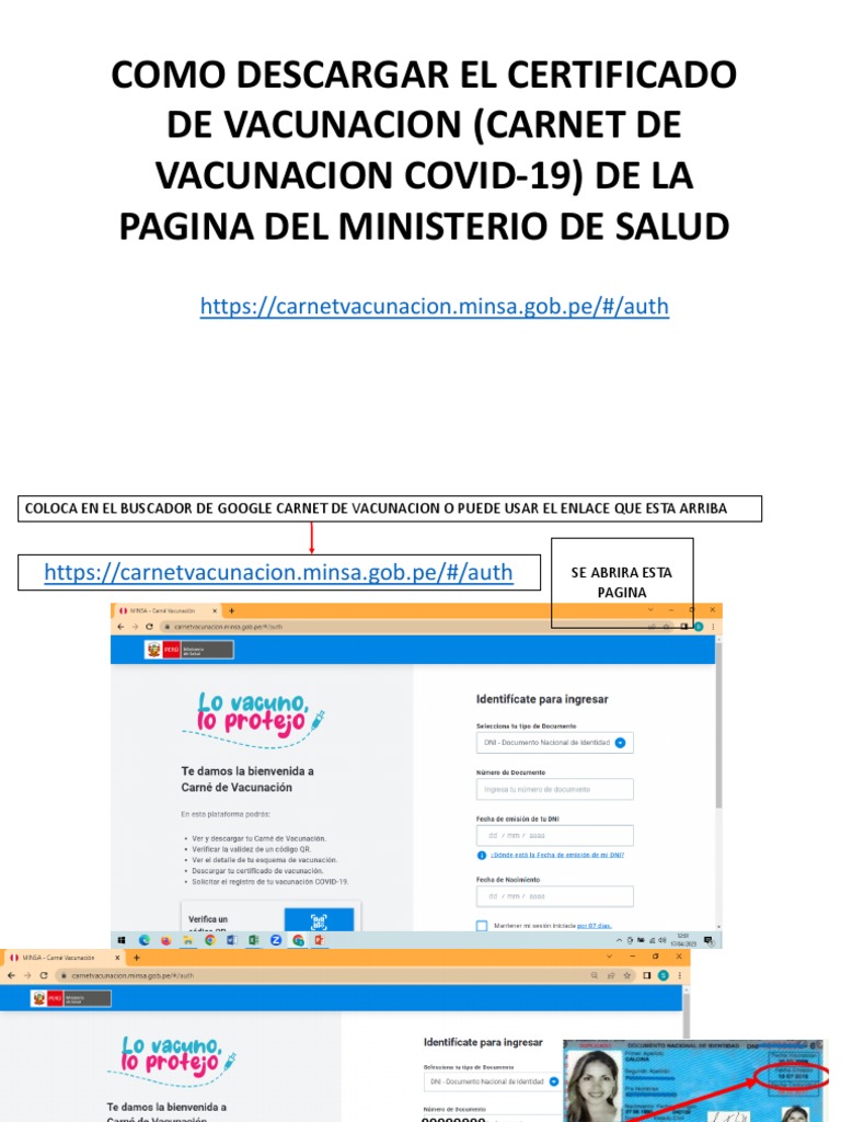 Como Descargar El Carnet de Vacunación (Certificado) | PDF
