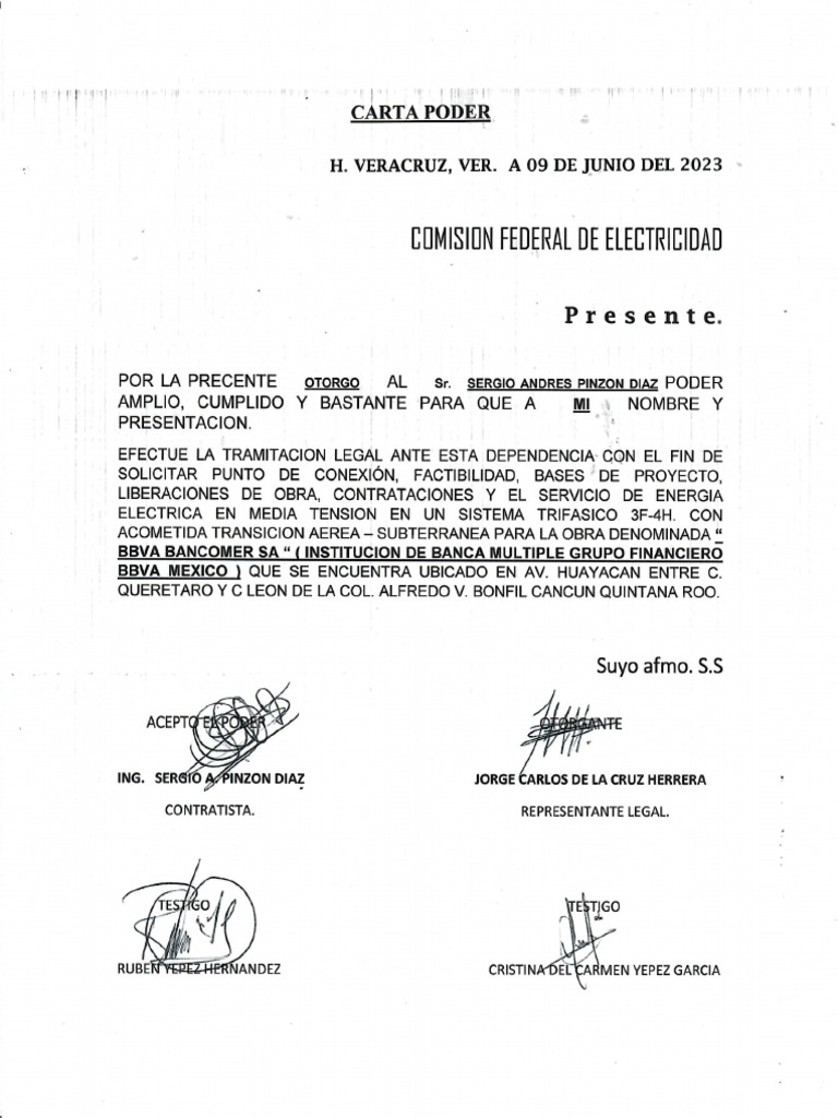 Carta Poder Simple Con Dos Testigos