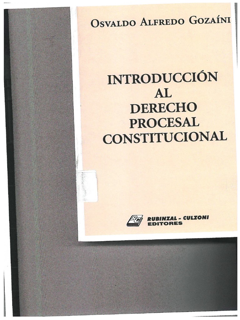 Introducción Al Derecho Procesal Constitucional | PDF