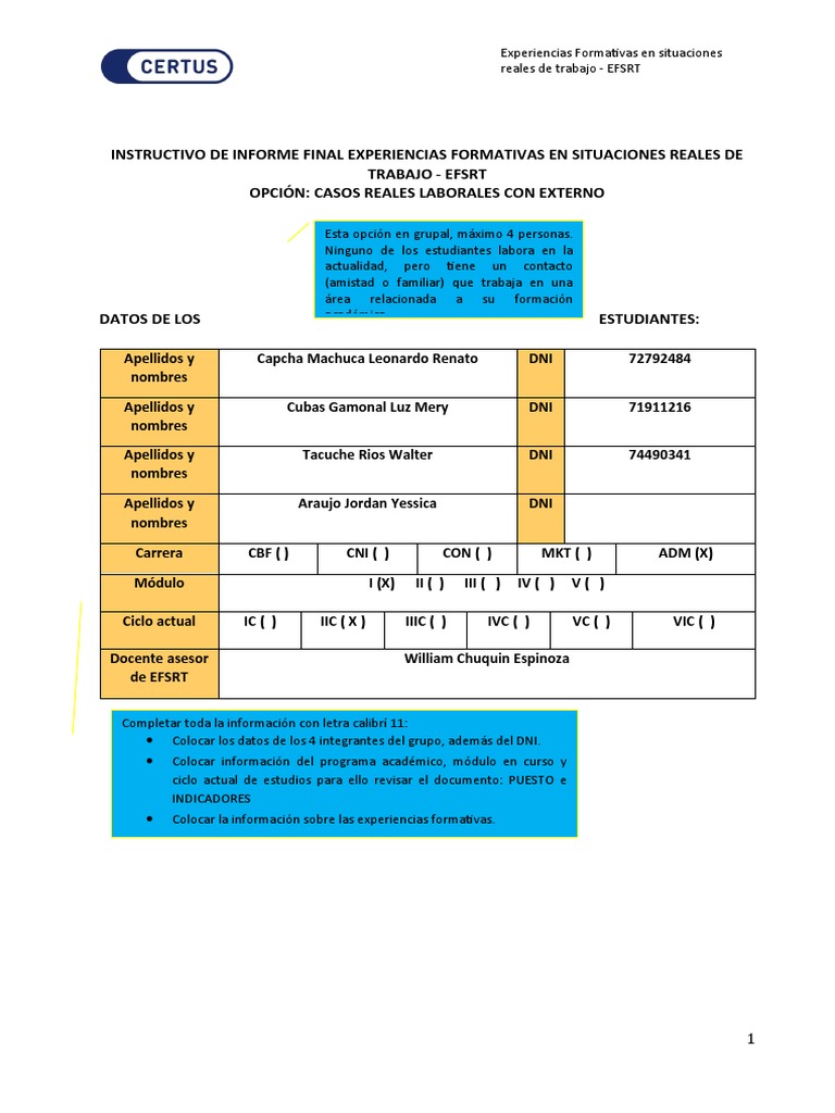 Asistente Operativo | PDF | Negocios