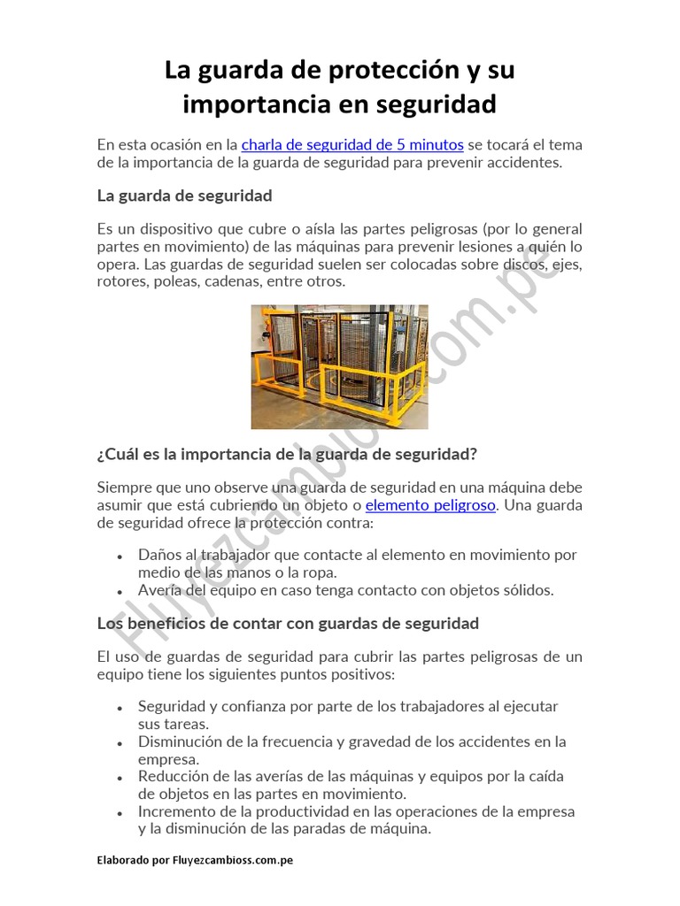 La Guarda de Proteccion y Su Importancia en Seguridad | PDF