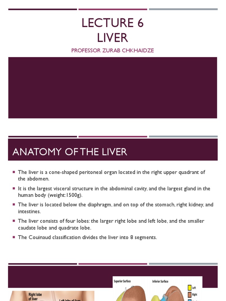 Surgery Lect 5 Liver | PDF | Liver | Clinical Medicine