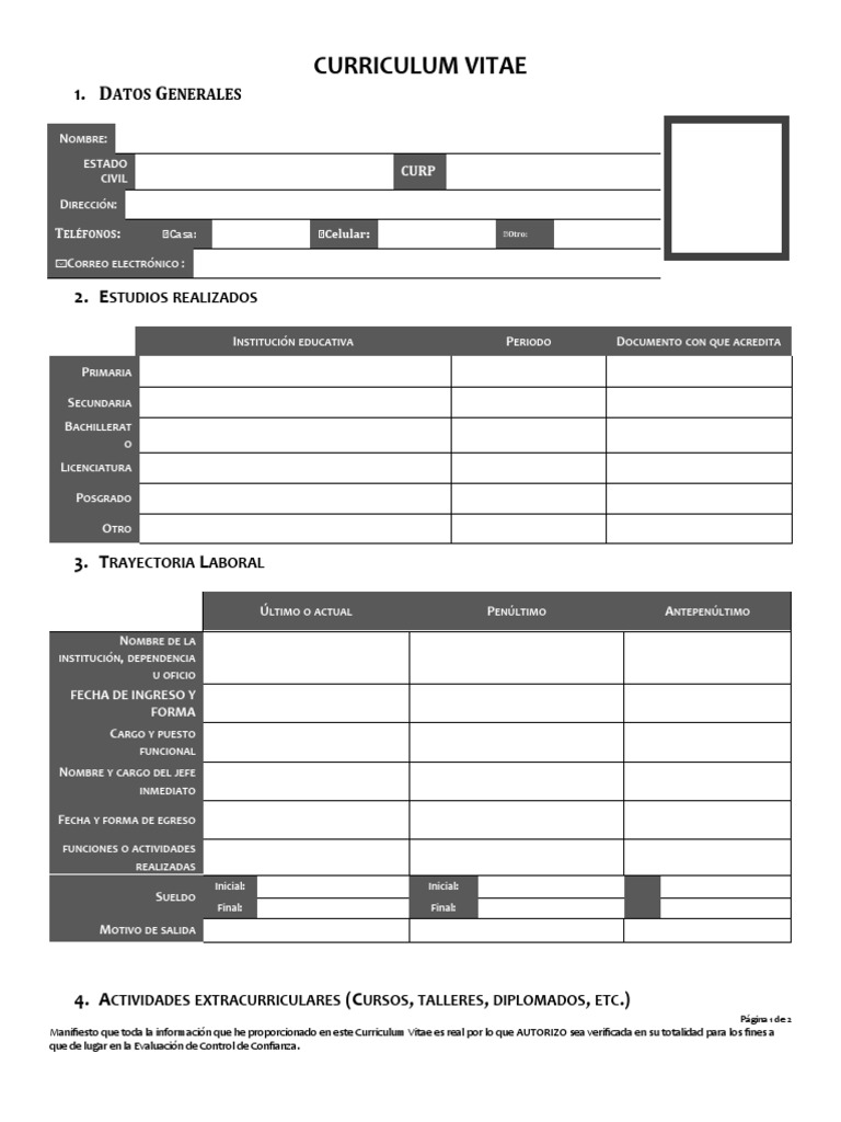 CURRICULUM EN BLANCO | PDF