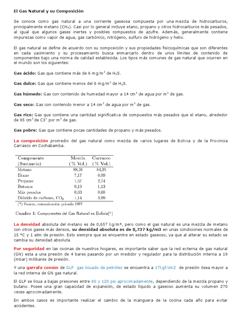 El Gas Natural y Su Composición Resumen | PDF
