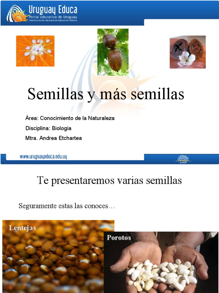 Semillas y Más Semillas | PDF