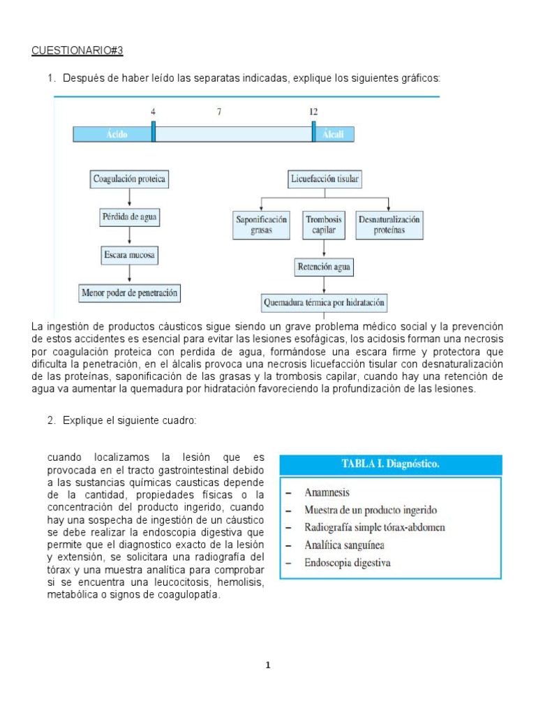 Práctica 3 bioq. | PDF