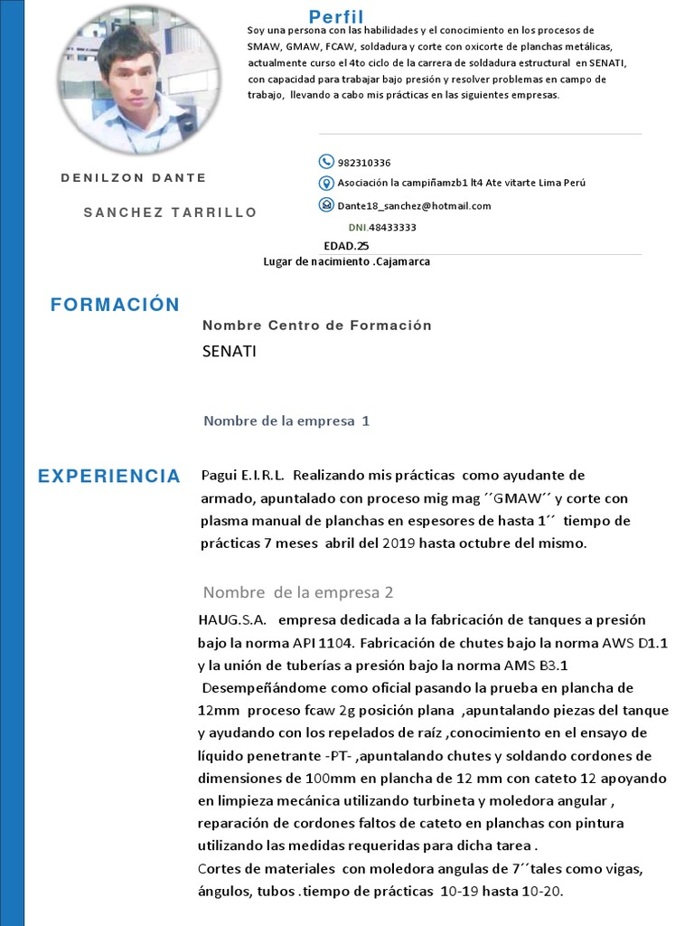 CV de Trabajo Dante | PDF