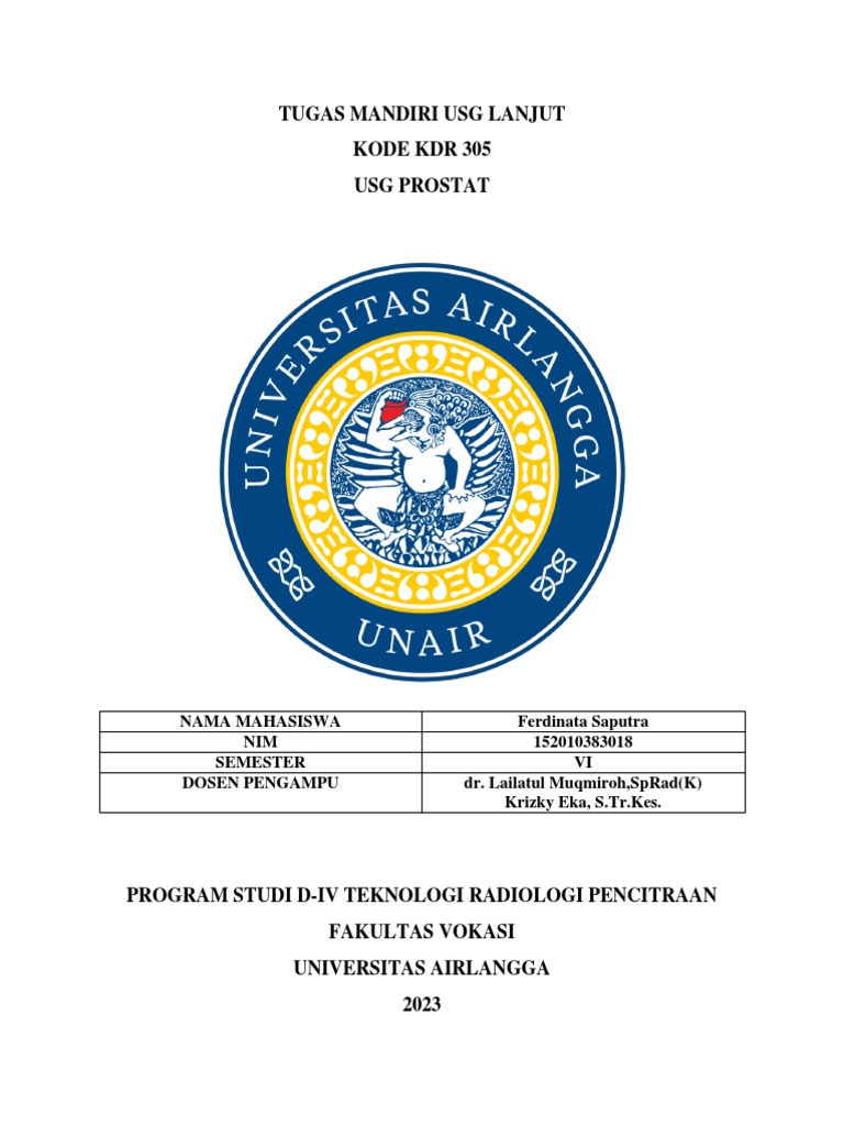 Ferdinata Saputra - Usg Prostat | PDF