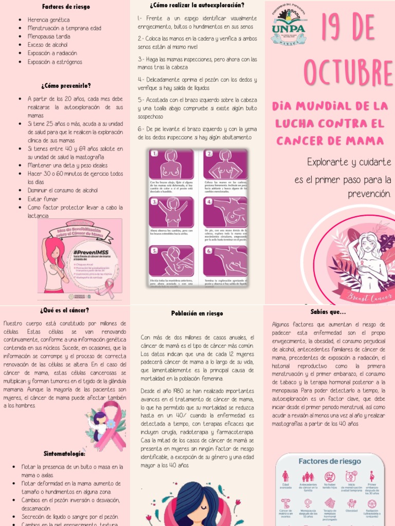 Folleto Cancer de Mama | PDF | Cáncer | Cáncer de mama