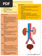 Examen Physique en Urologie | PDF | Prostate | Urologie