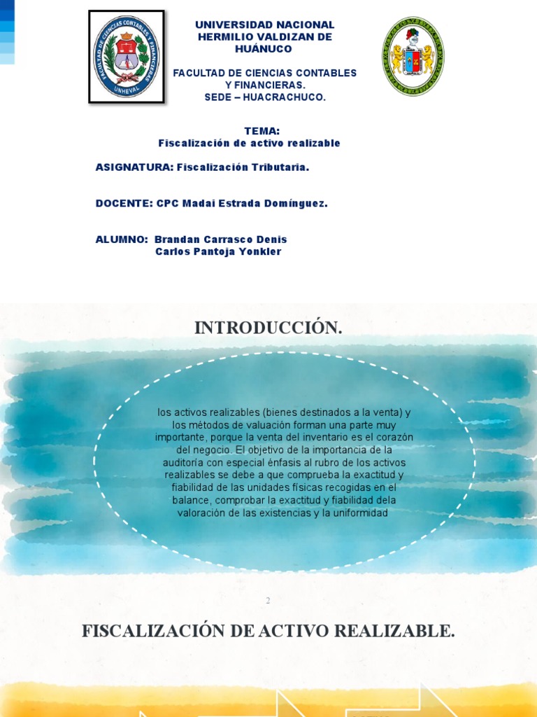 Fiscalizacion de Activo Realizable | PDF