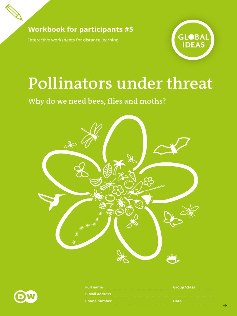 DW Global Ideas Workbook 5 Pollinators | PDF | Pollination | Pollinators