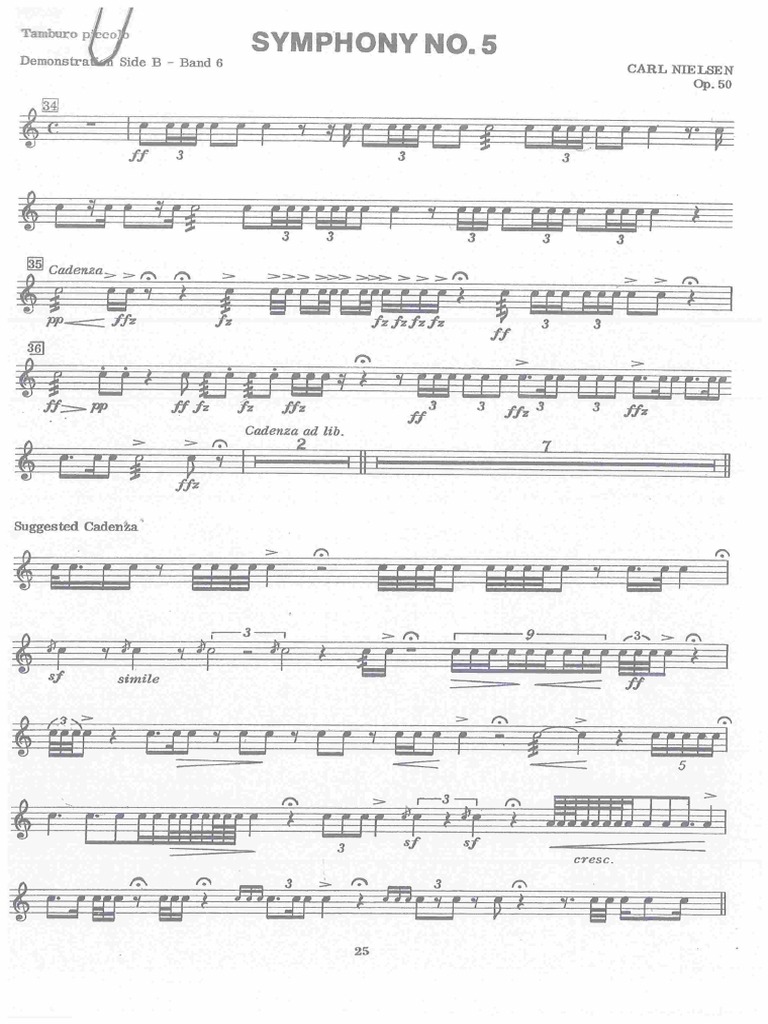 Caixa Clara Nielsen 1 | PDF