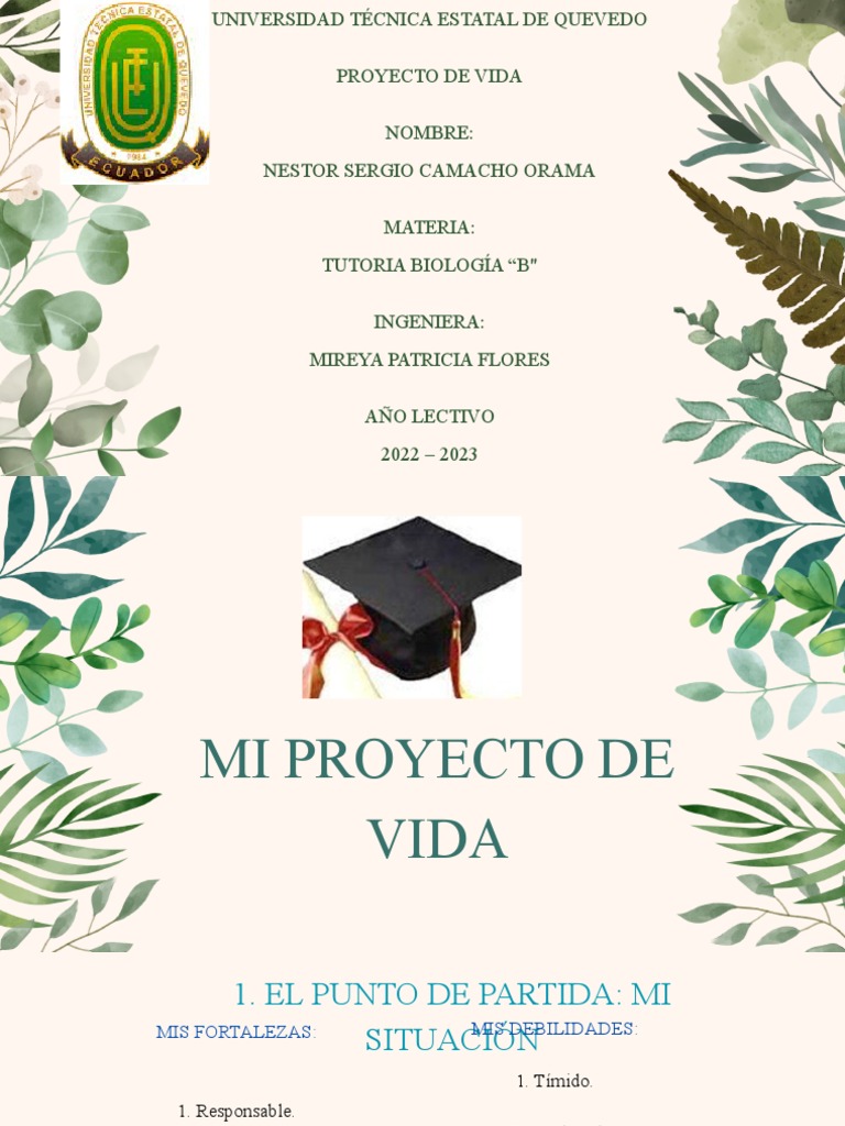 Presentación Proyecto de VIDA SERGIO | PDF