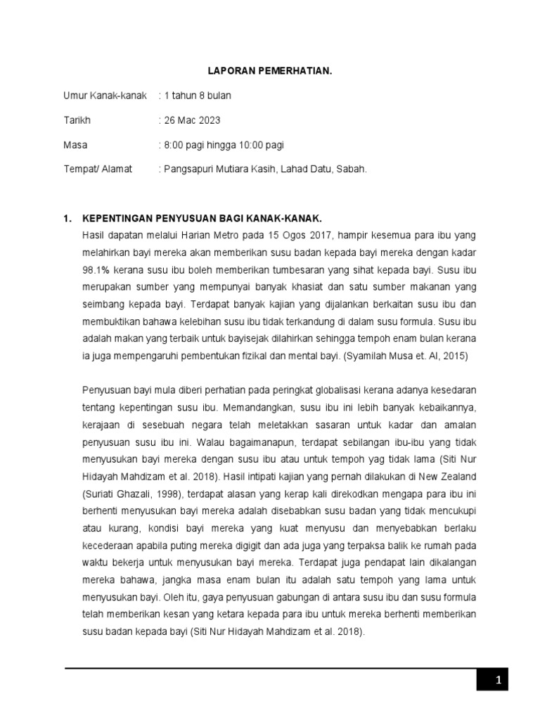 Laporan Pemerhatian | PDF