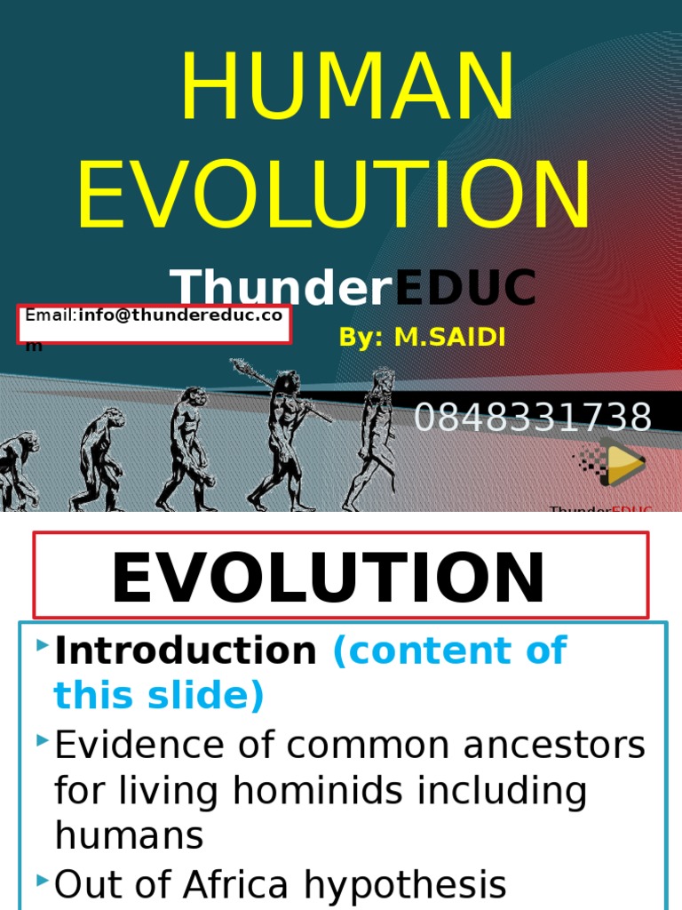 11.Evolution by Human Final(1) | PDF | Homo | Bipedalism