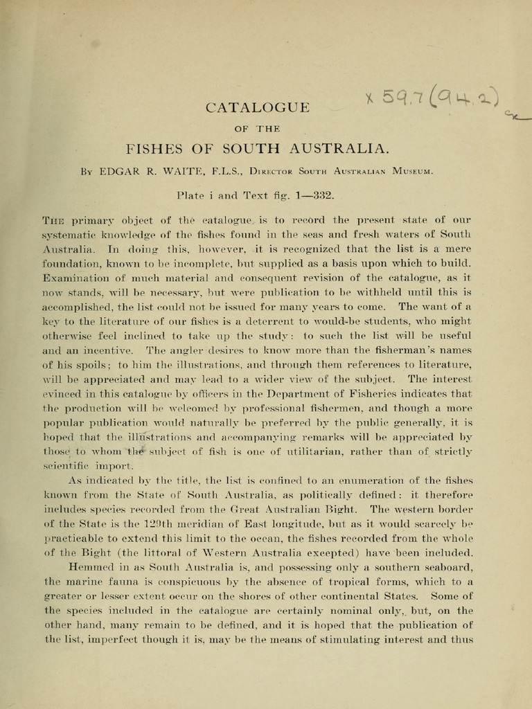 Waite, Edgar R. 1921. Illustrated Catalogue of The Fishes of South ...